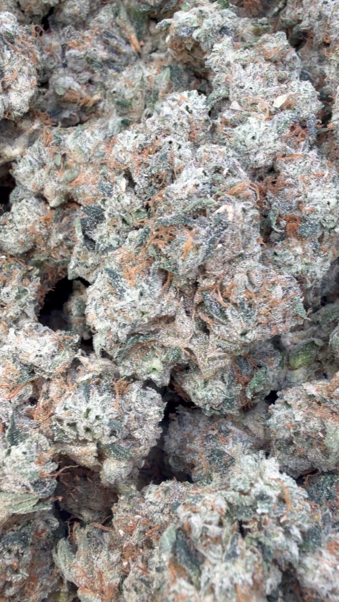 Jet Fuel OG Indoor - Bulk- Indica – Smoke Kind