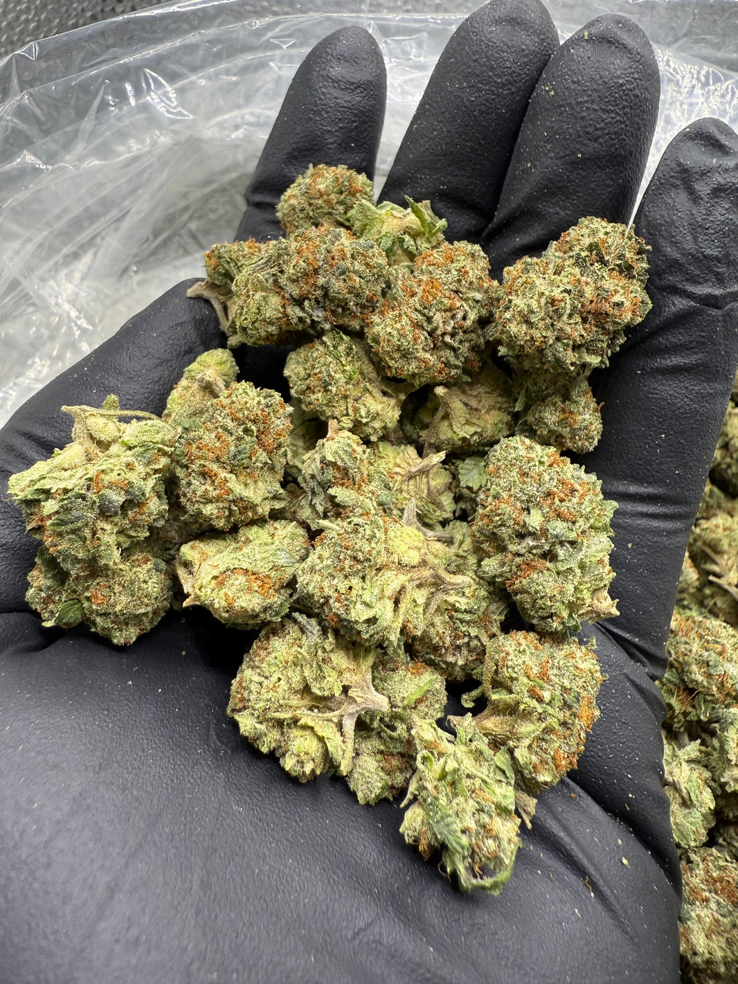 Wholesale & Bulk THCa - Indica & Sativa Strains - Smoke Kind