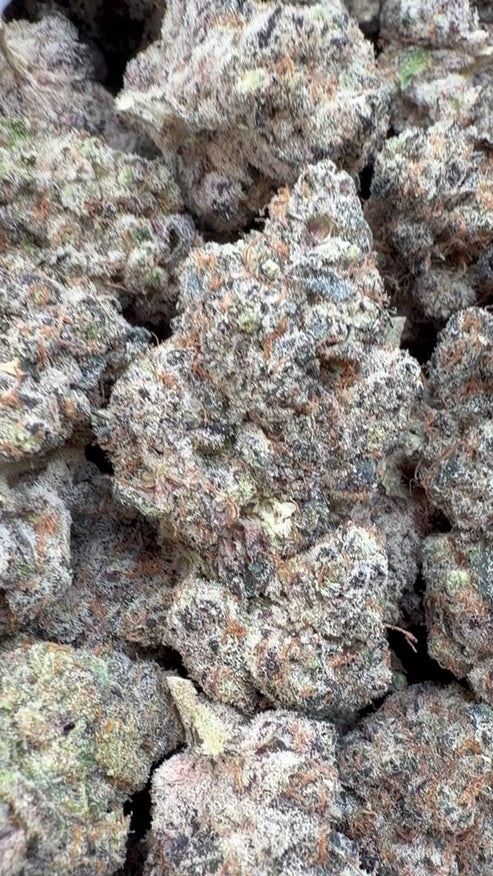 Garlic Cookies Indoor - Bulk - Hybrid – Smoke Kind