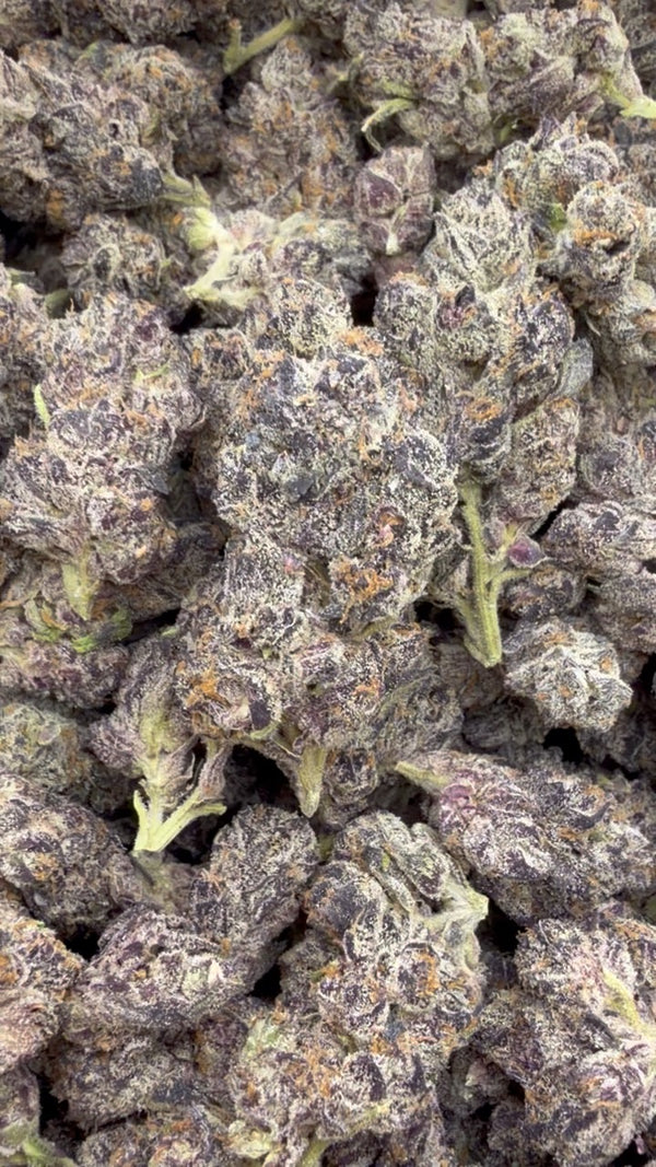 Indoor Exotic Purple Jack - Bulk - Hybrid – Smoke Kind