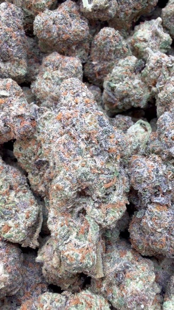 Lemonatti Indoor - Bulk - Sativa – Smoke Kind