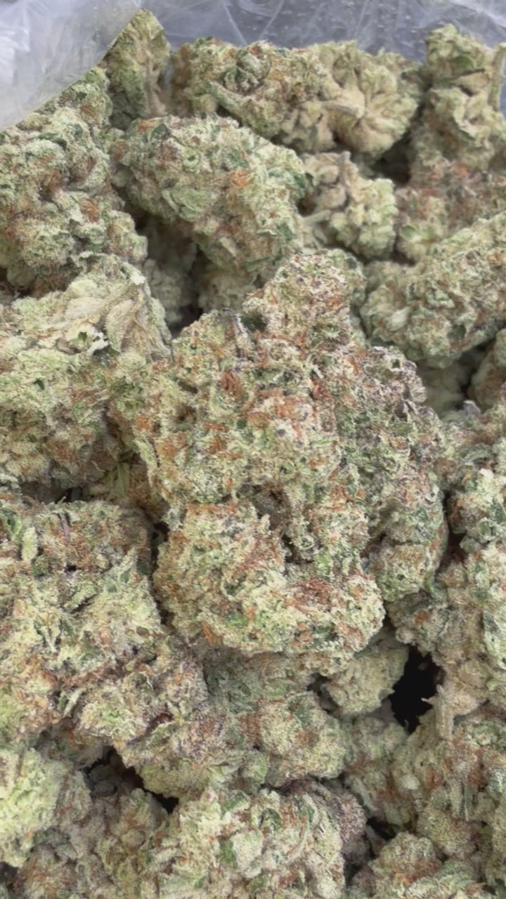 Lemon Fuel OG - Bulk - Hybrid – Smoke Kind