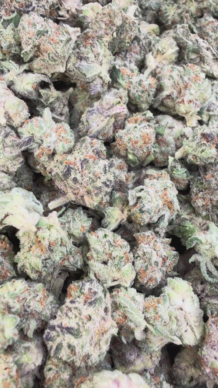 Cookies and Cream Minis - Bulk Minis - Hybrid – Smoke Kind