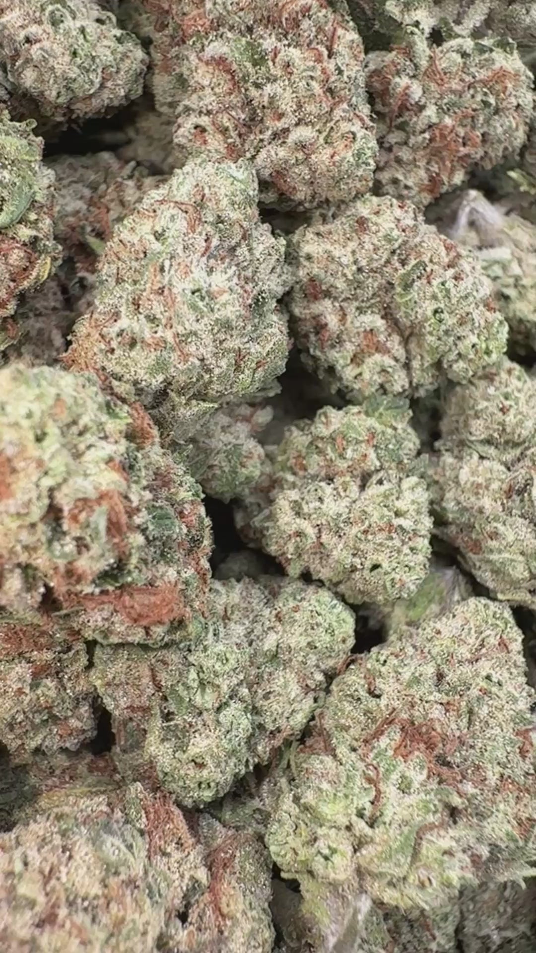 Raspberry Kush - Bulk- Indica – Smoke Kind