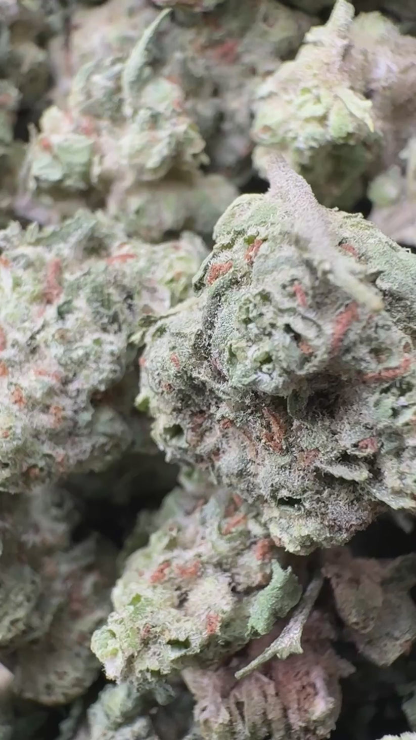 Space Station Minis - Bulk - Minis (Indica) – Smoke Kind