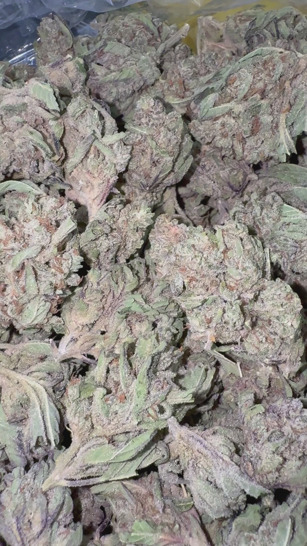 Gas Candy - Bulk - Hybrid – Smoke Kind