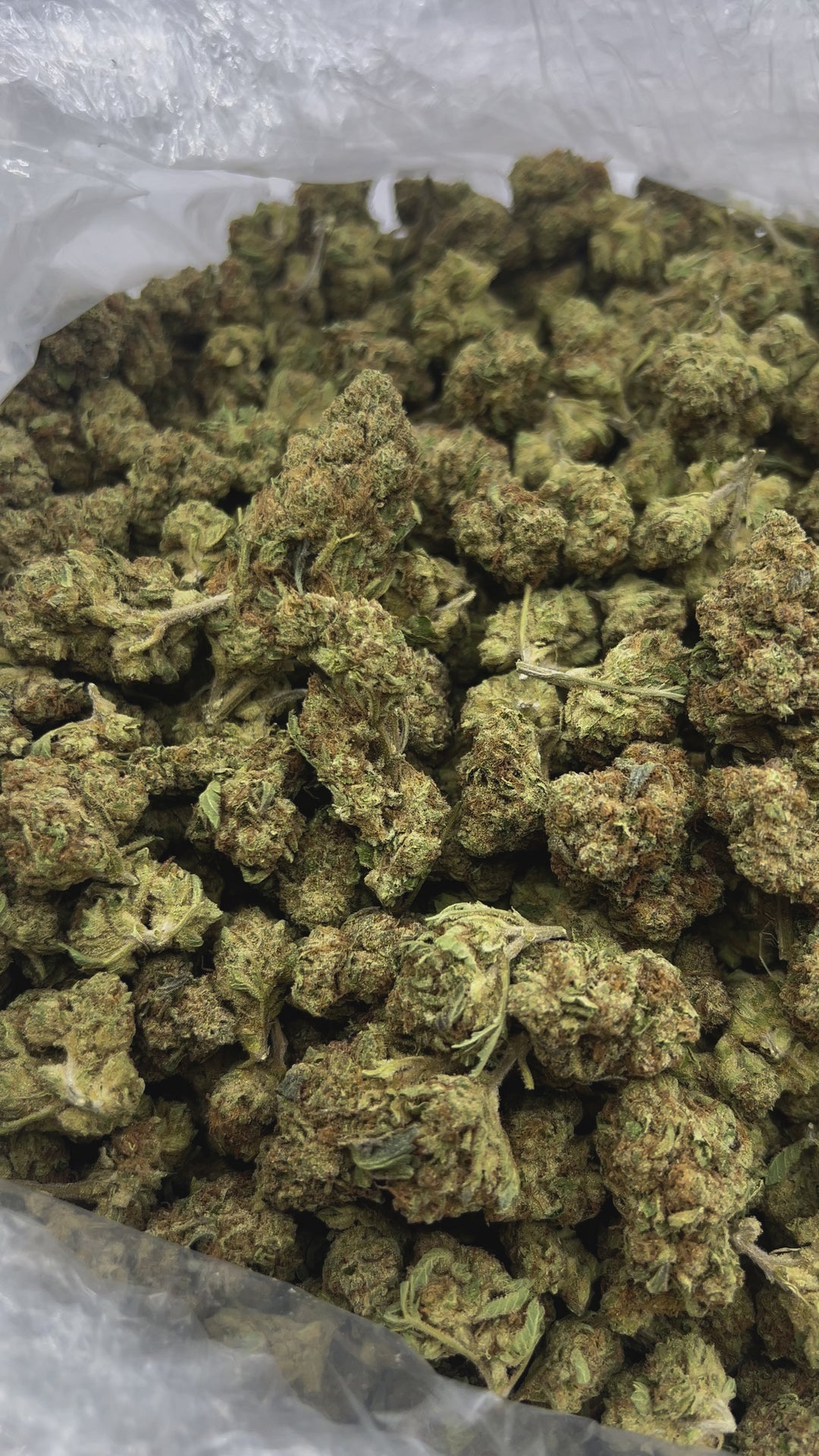 Raspberry Kush - Bulk - Minis (Indica) – Smoke Kind